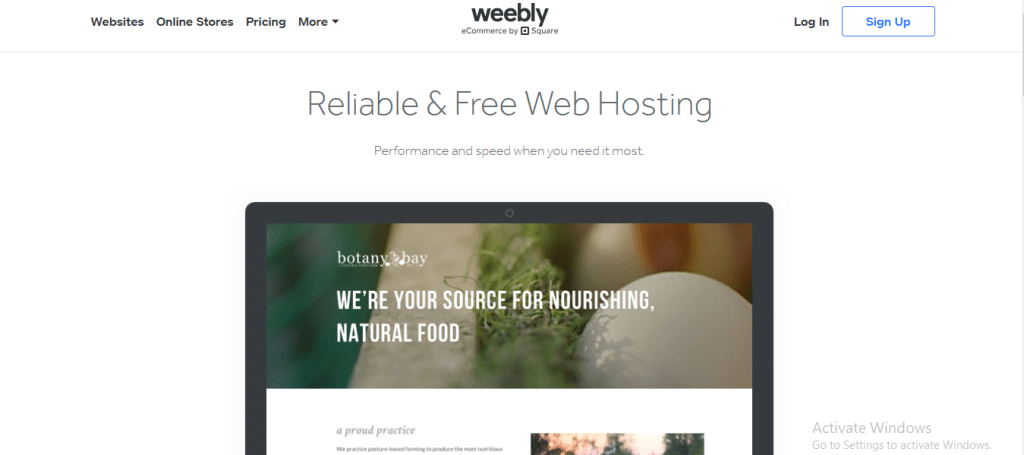 Weebly Vs Wix: Which Website Builders You Should Use In 2025